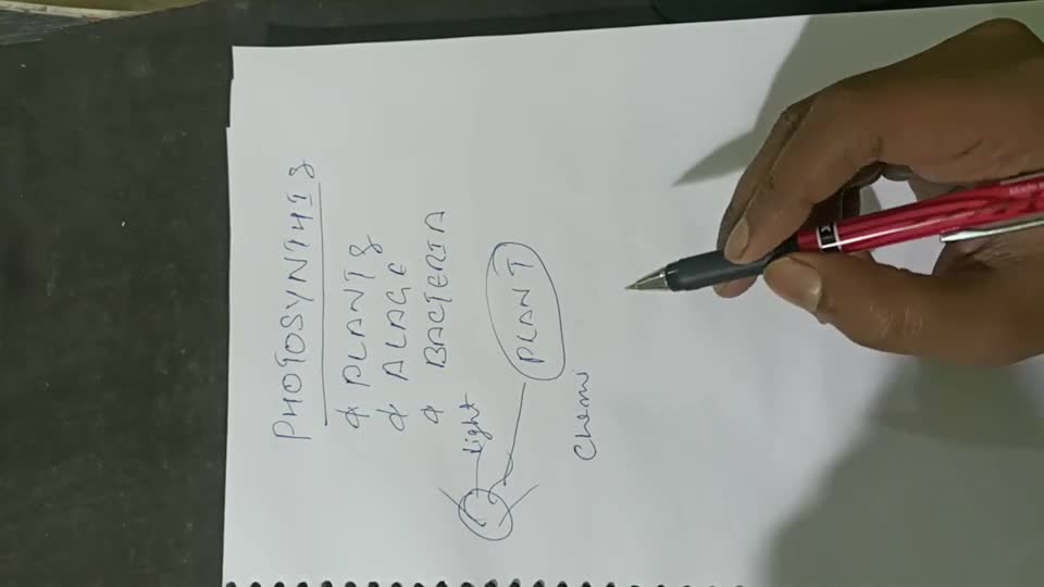(iv) Tubular part of nephron: Its function is setective reabsorption of f..