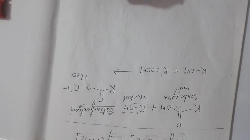 \mathrm{Ar} / \mathrm{ROH}+\mathrm{R}^{\prime}-\mathrm{COOH} \stackrel{\m..