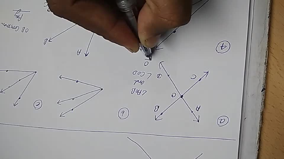 Draw rough diagrams of two angles such that they have | Filo