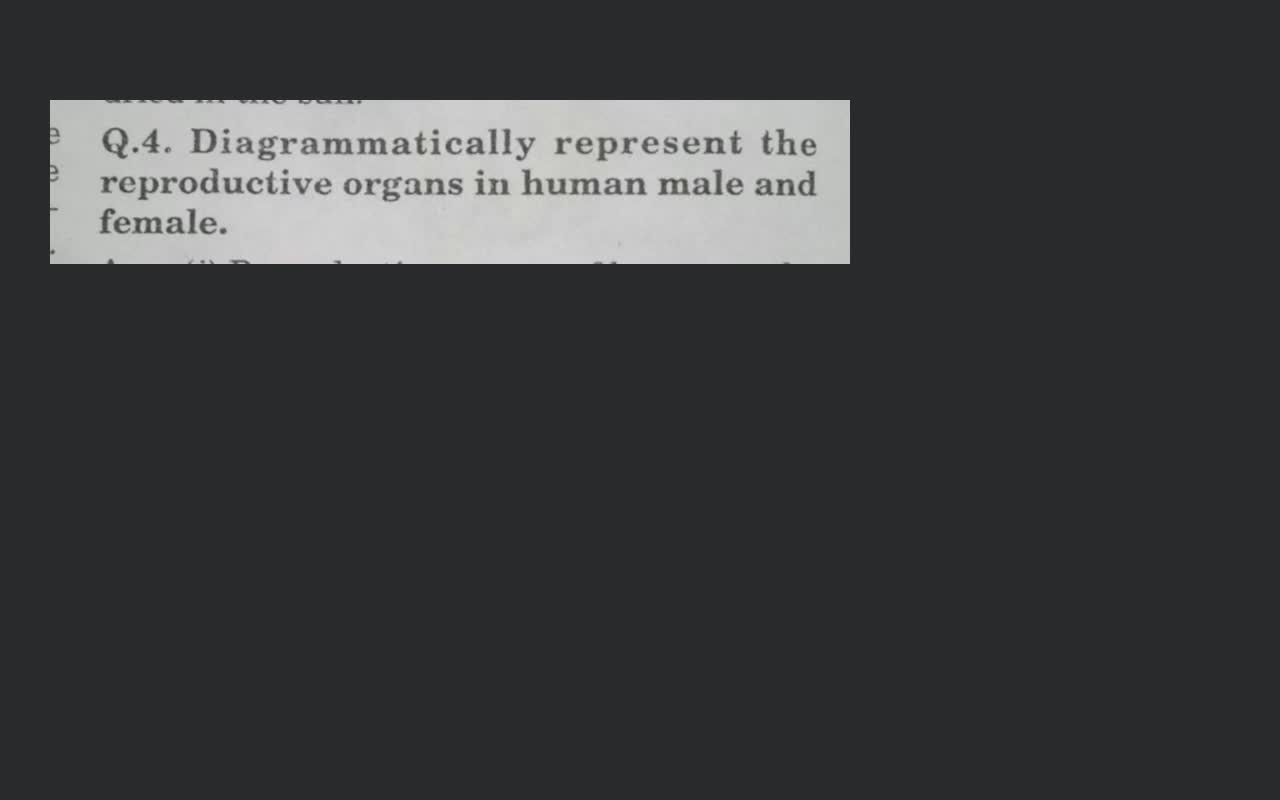 Q.4. Diagrammatically represent the reproductive organs in human male and..