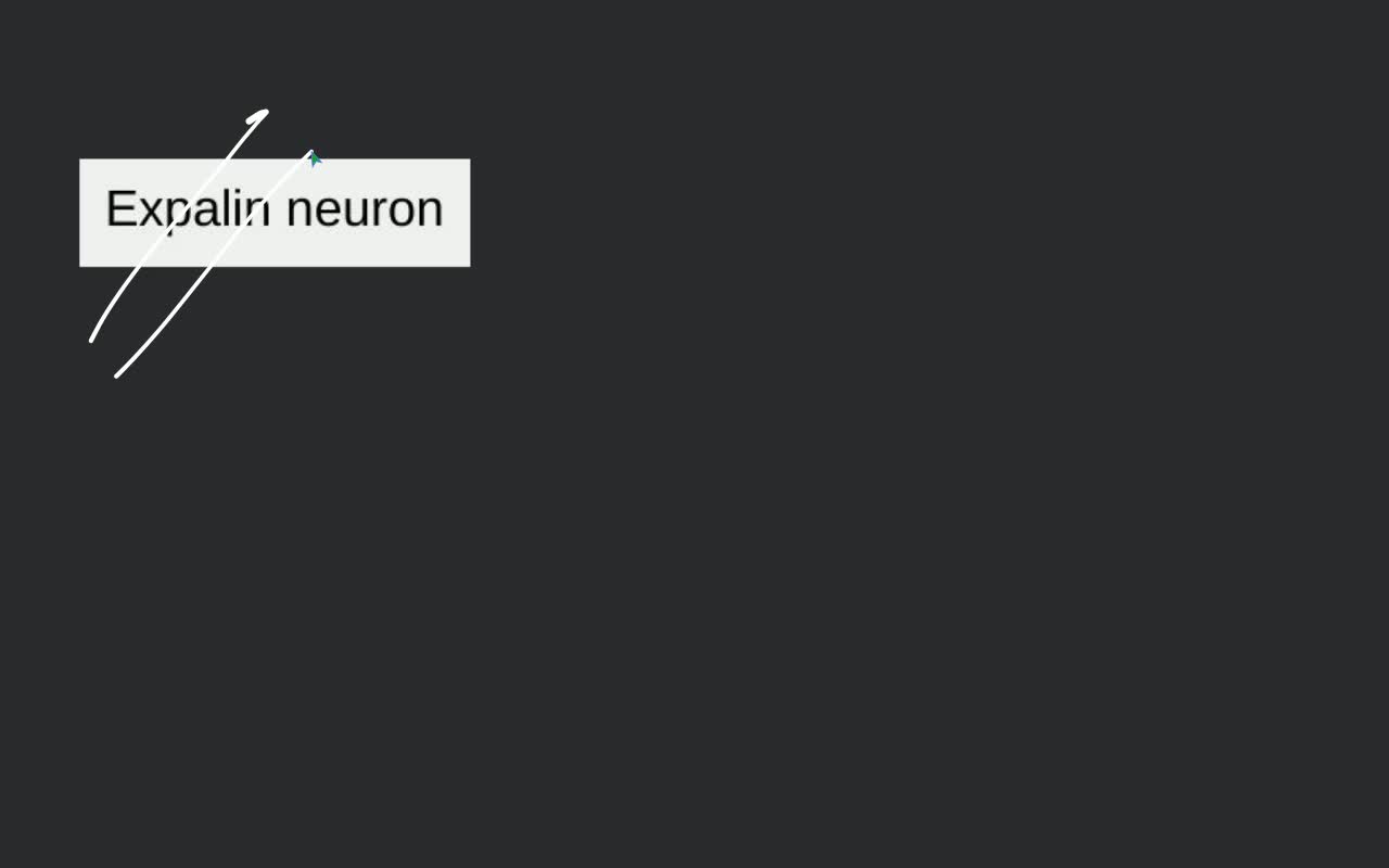 Expalin neuron | Filo