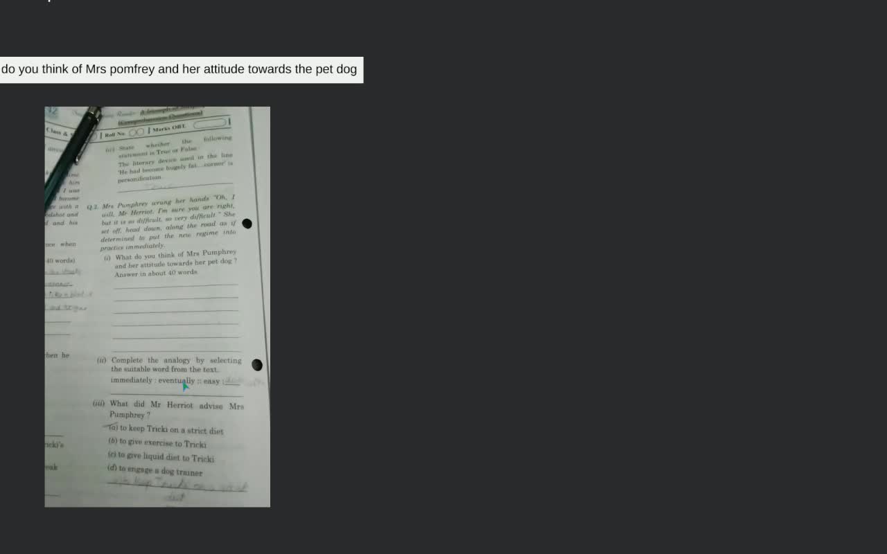 What do you think of Mrs pomfrey and her attitude towards the pet dog..