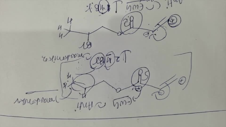 4 00:38 1 +0040CORRECT (3)wrous (4)not Artemerte (os)Major product o..